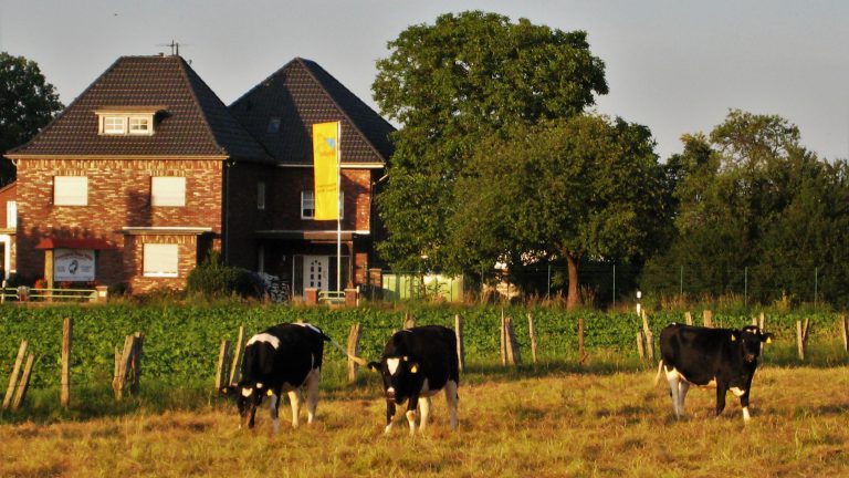 Putenfarm Ritte - Angerdorf-Rickelrath