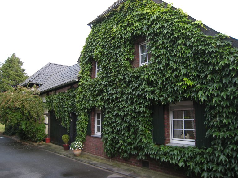 Haus Debbert - Angerdorf-Rickelrath