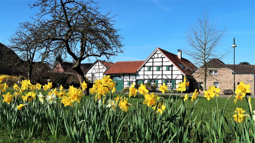 Angerdorf Rickelrath - Frühlingserwachen - Angerdorf Rickelrath